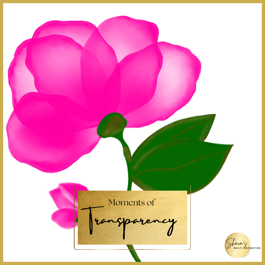 Moments of Transparency – It’s Shaun’s World