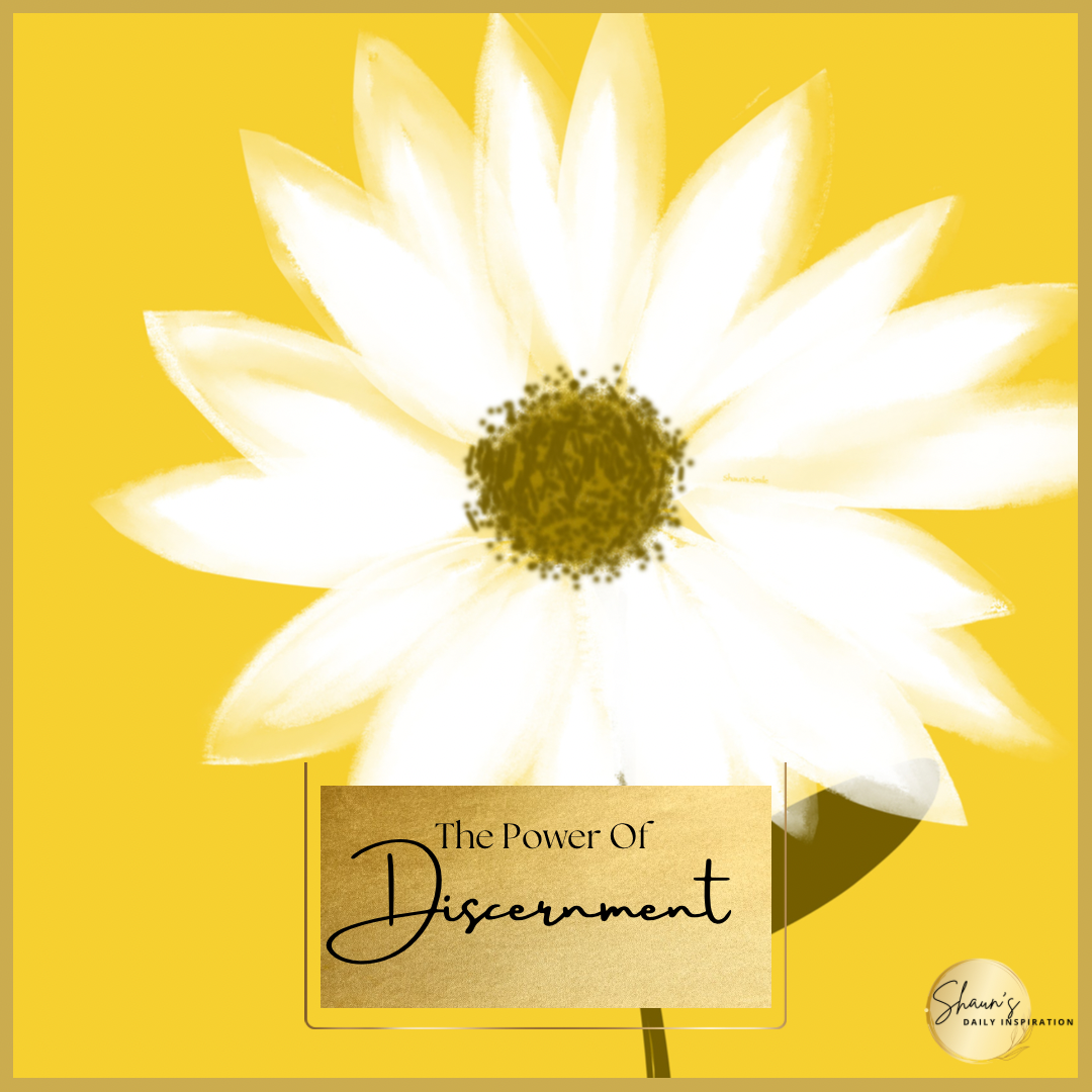 The Power of Discernment – It’s Shaun’s World