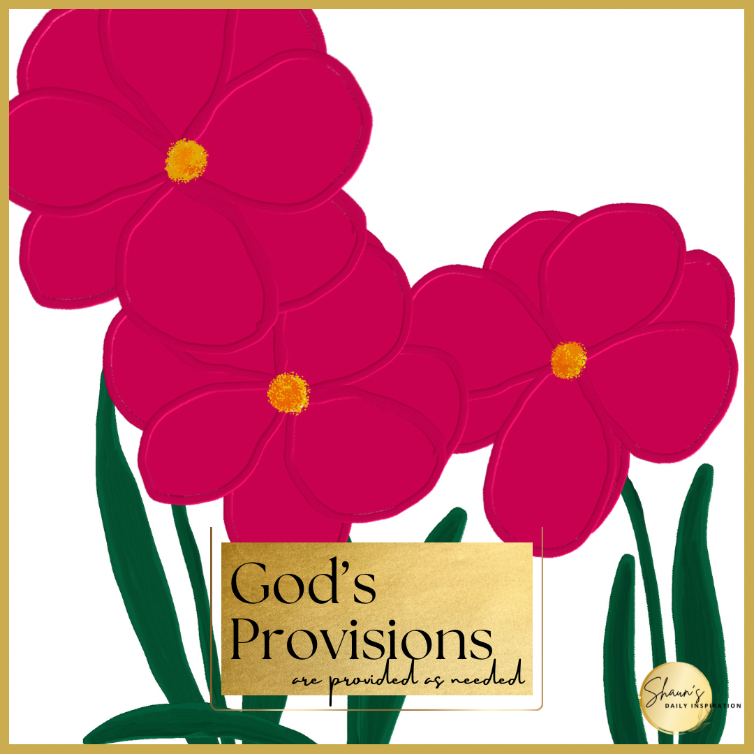 God’s Provisions – It’s Shaun’s World
