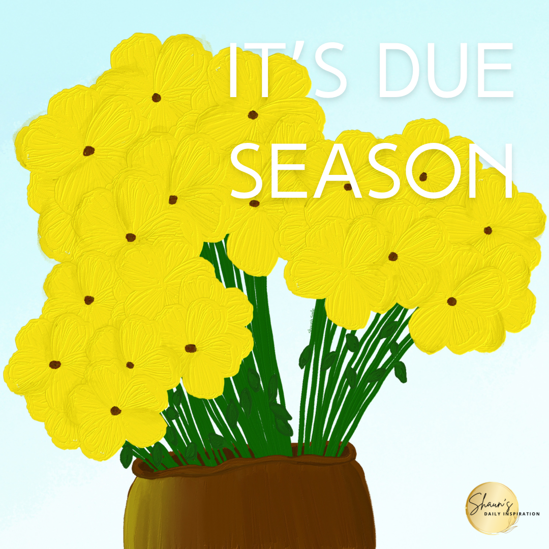 It’s Due Season – It’s Shaun’s World