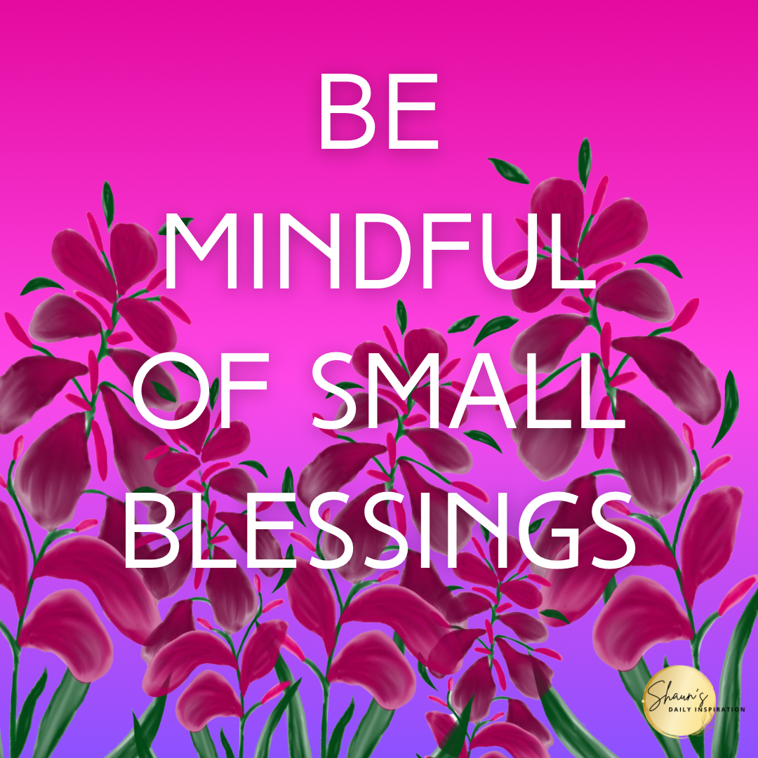 Small Blessings – It’s Shaun’s World