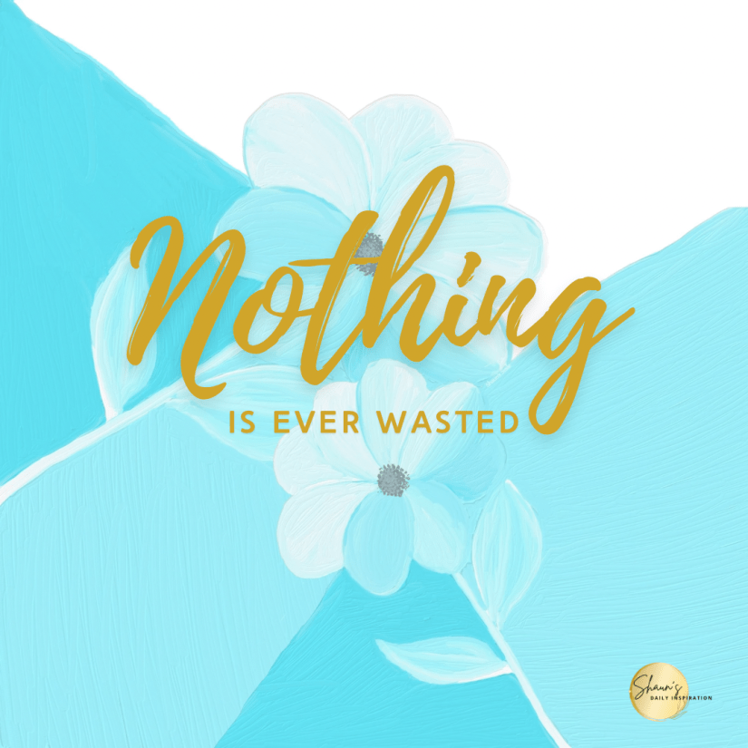 Nothing Is Ever Wasted – It’s Shaun’s World