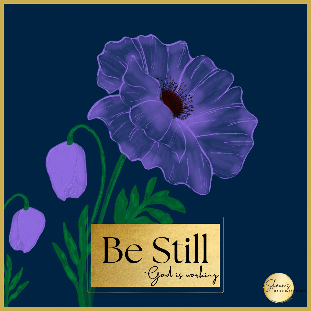 Be Still – It’s Shaun’s World