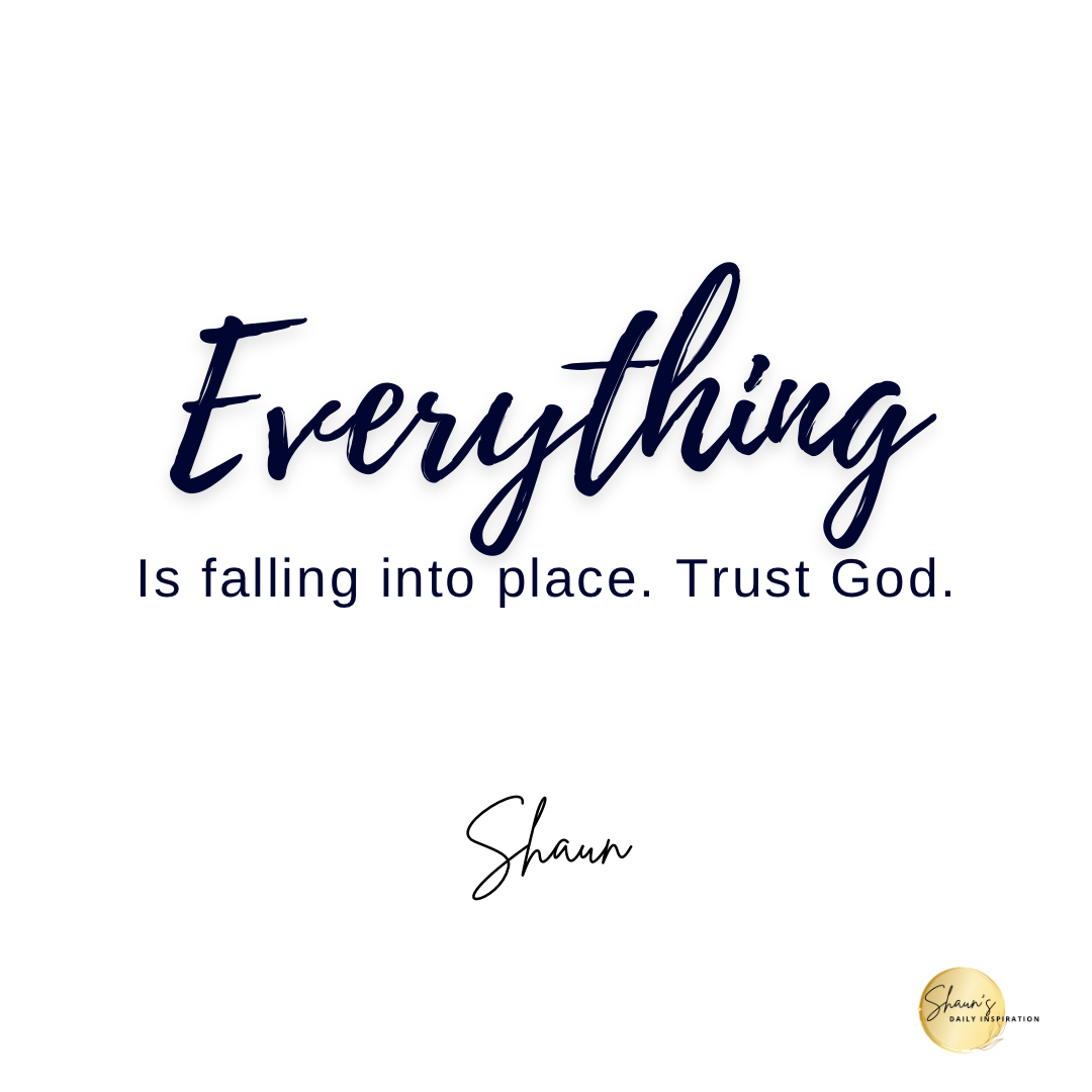 Everything Is Falling Into Place – It’s Shaun’s World