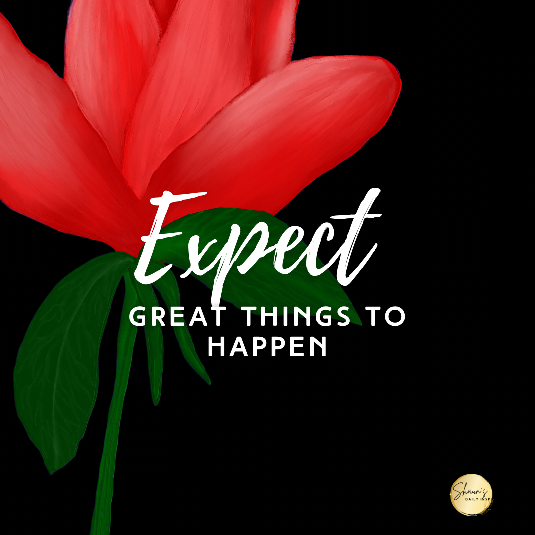 Wait With Expectancy – It’s Shaun’s World