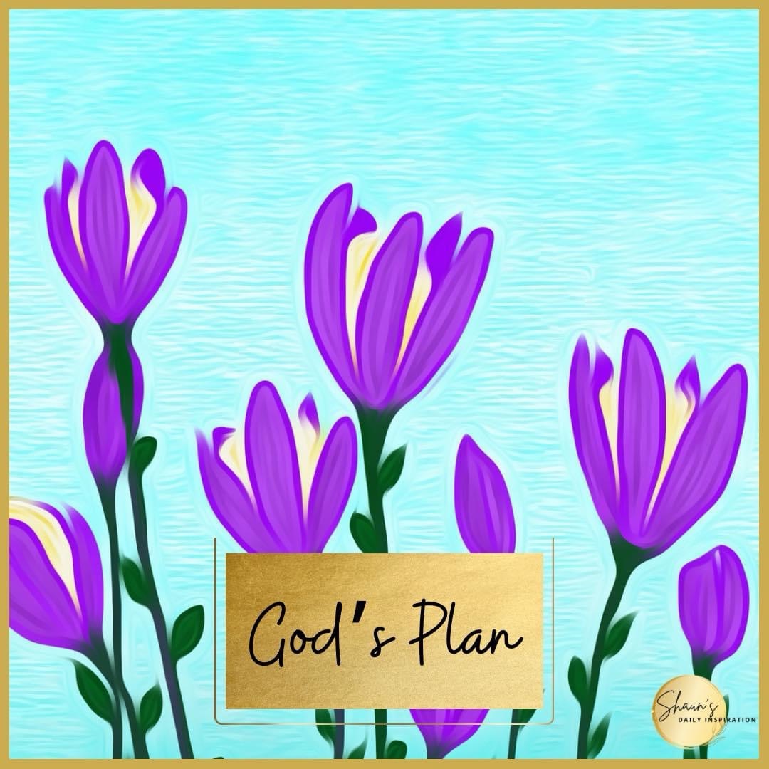 God’s Plan Is Unpredictable – It’s Shaun’s World