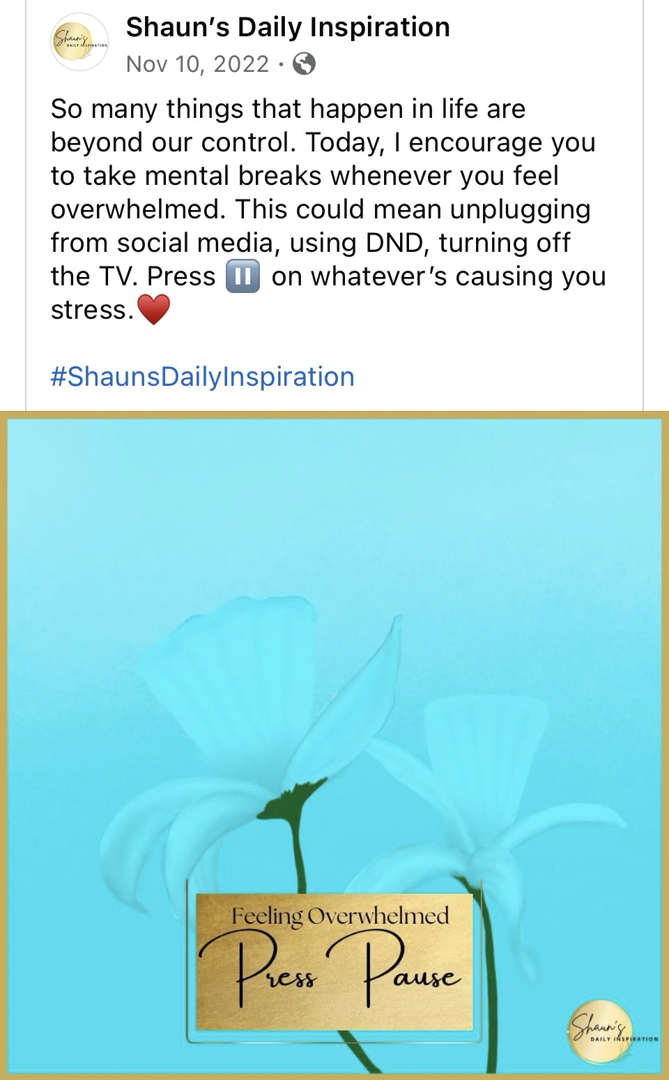 Pressing Pause, Works – It’s Shaun’s World