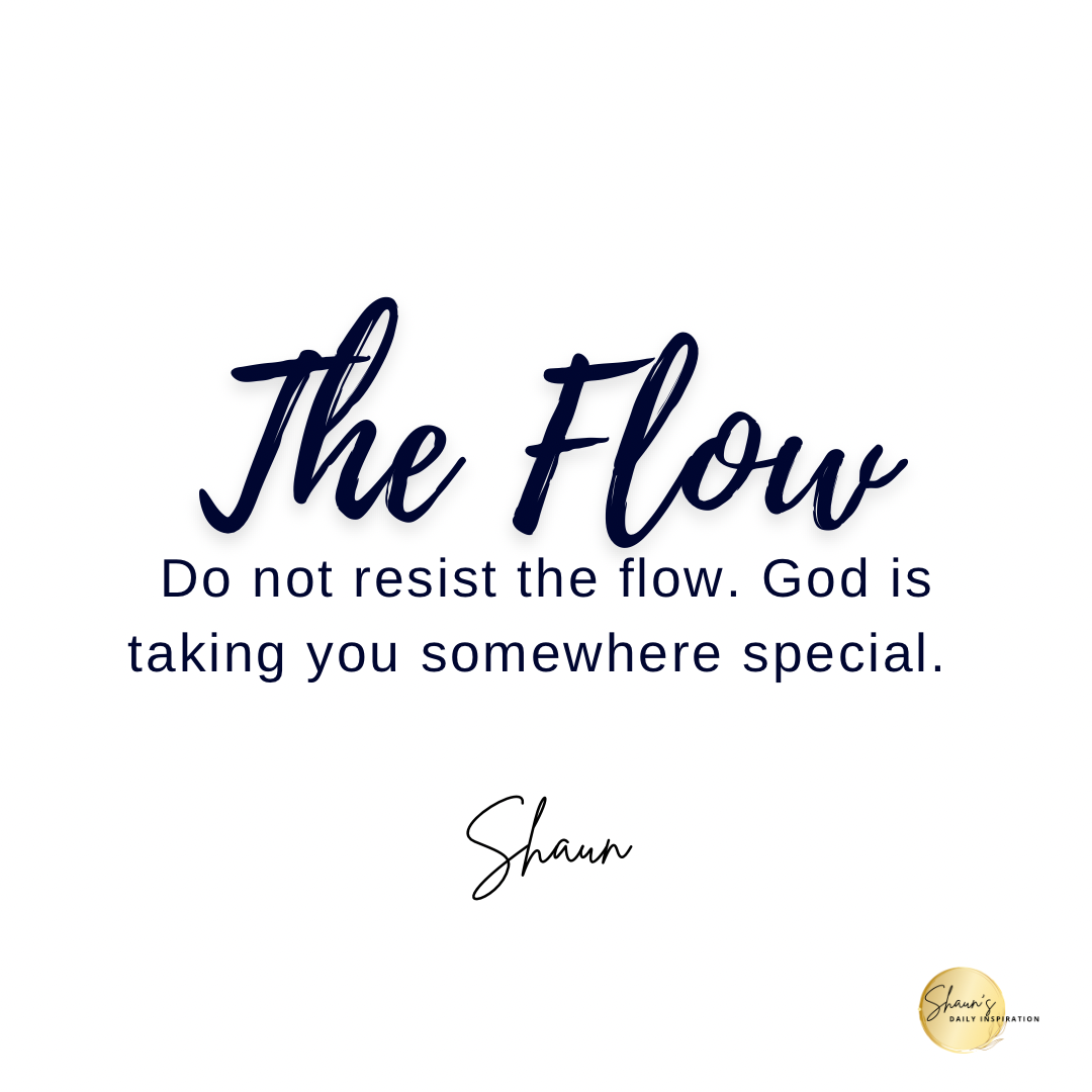 Don’t Resist The Flow – It’s Shaun’s World