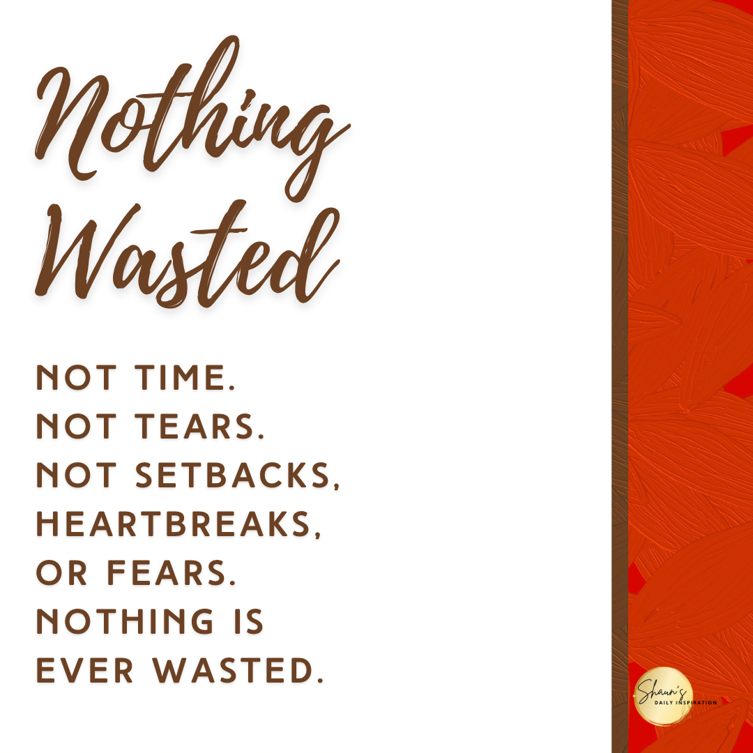 Nothing Wasted – It’s Shaun’s World