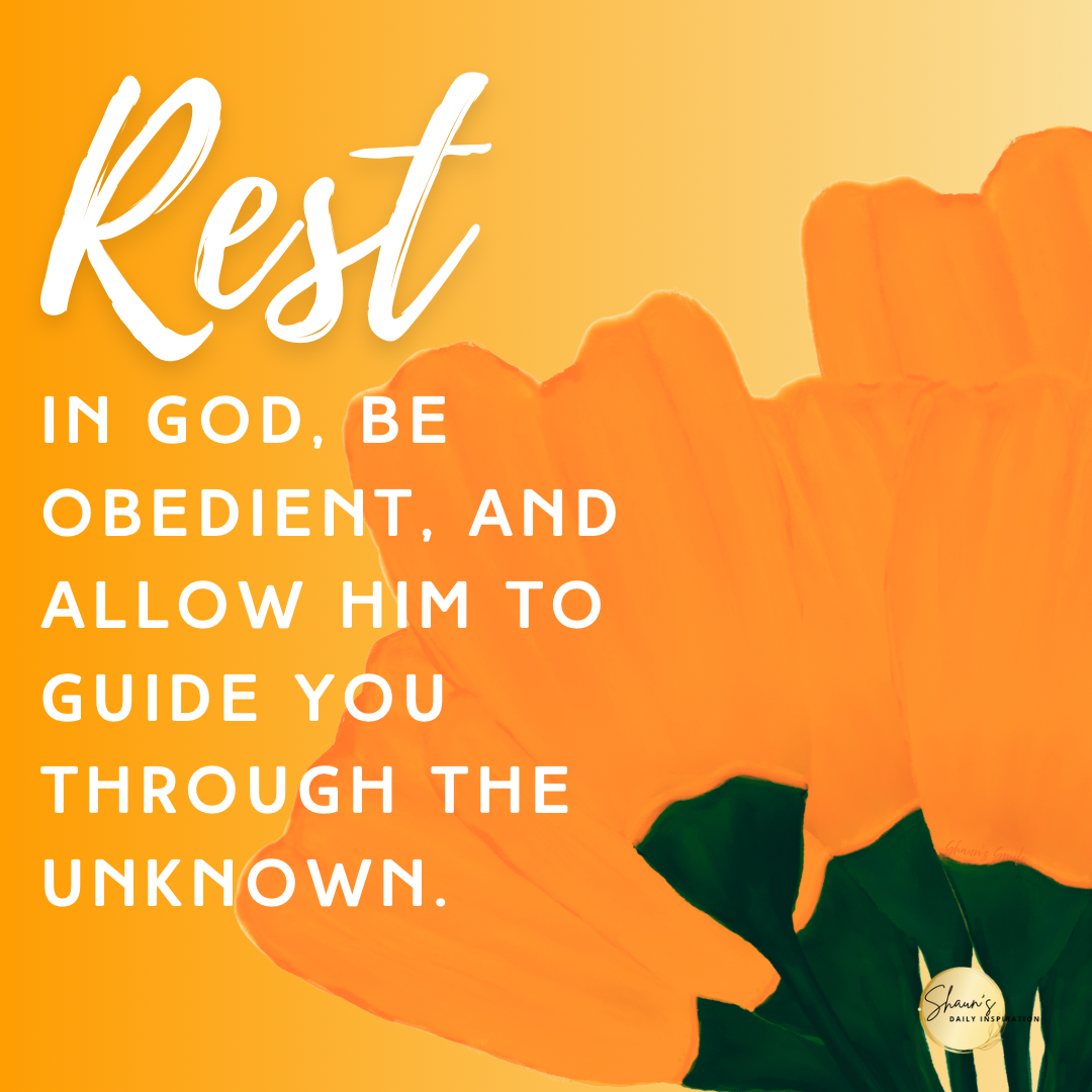 Allow God To Guide You – It’s Shaun’s World