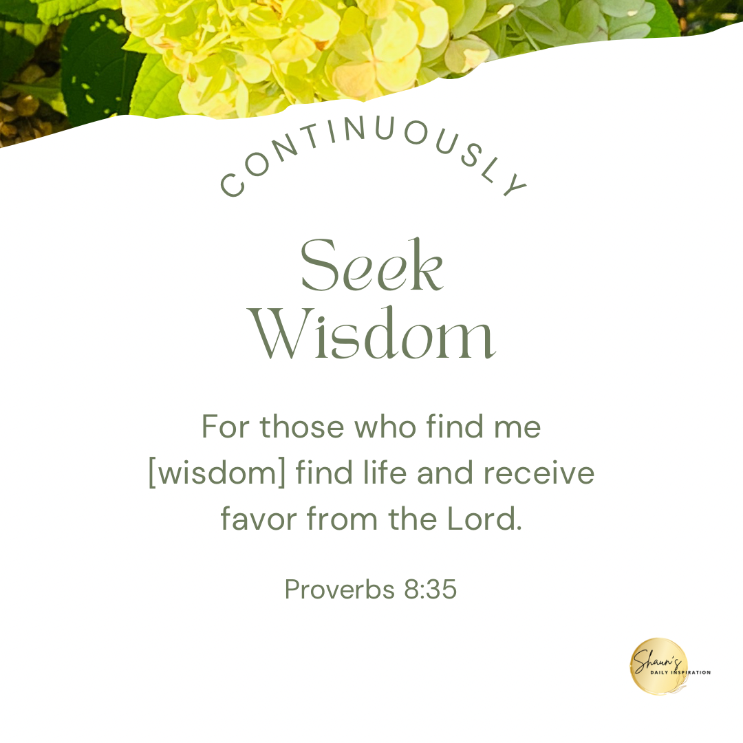 Seek Wisdom – It’s Shaun’s World