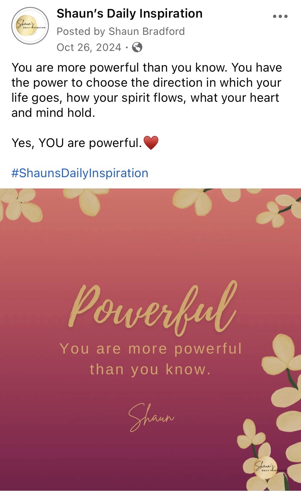 The Power Is Yours – It’s Shaun’s World