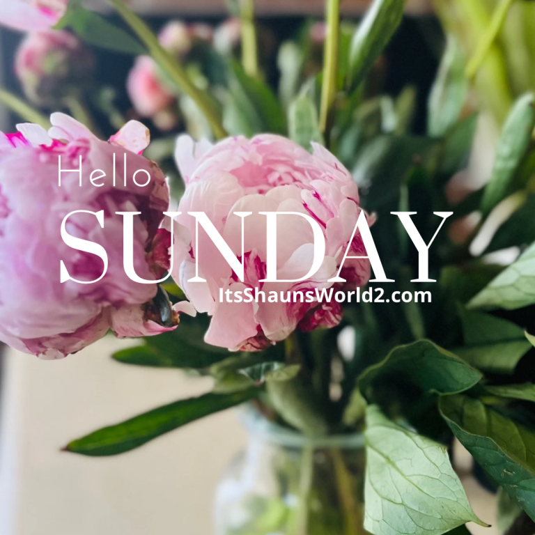 Hello Sunday (281) – It’s Shaun’s World