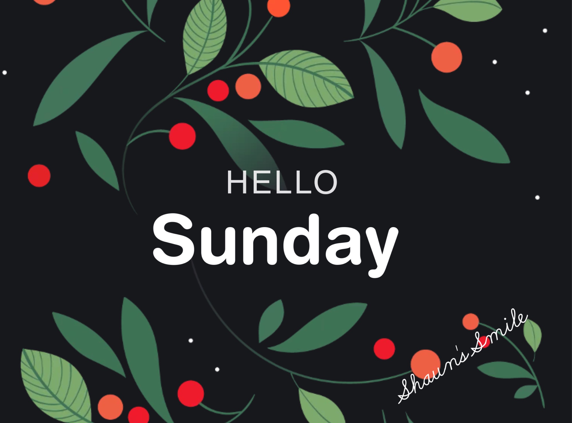 Hello Sunday – It’s Shaun’s World