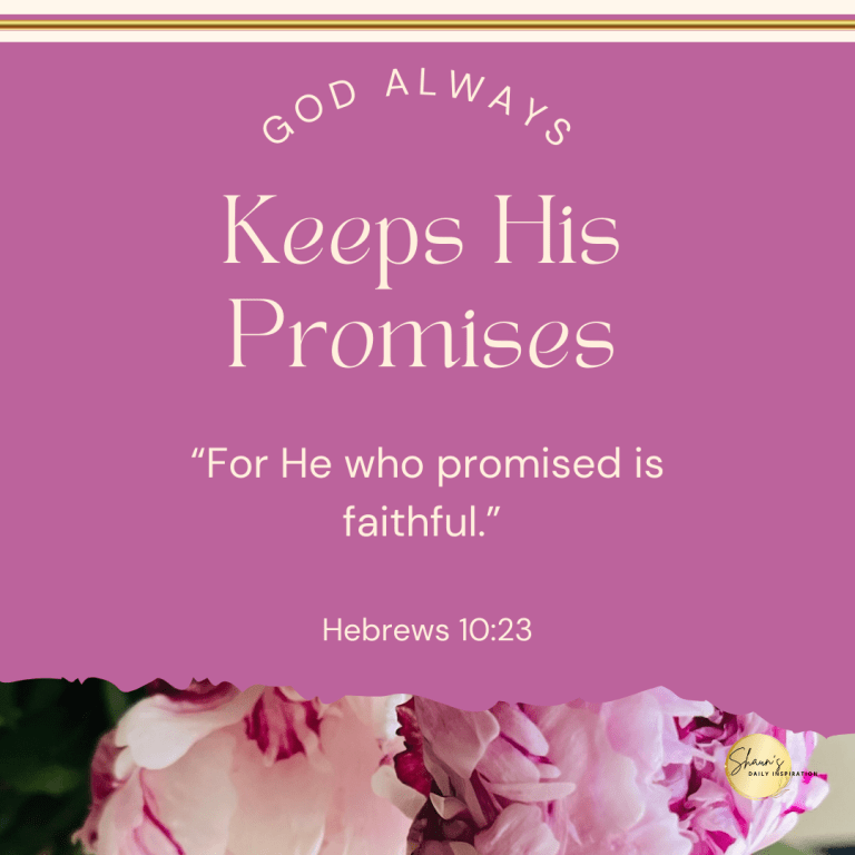 God’s Promises – It’s Shaun’s World