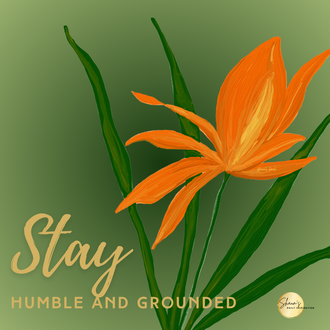Stay Humble And Grounded – It’s Shaun’s World