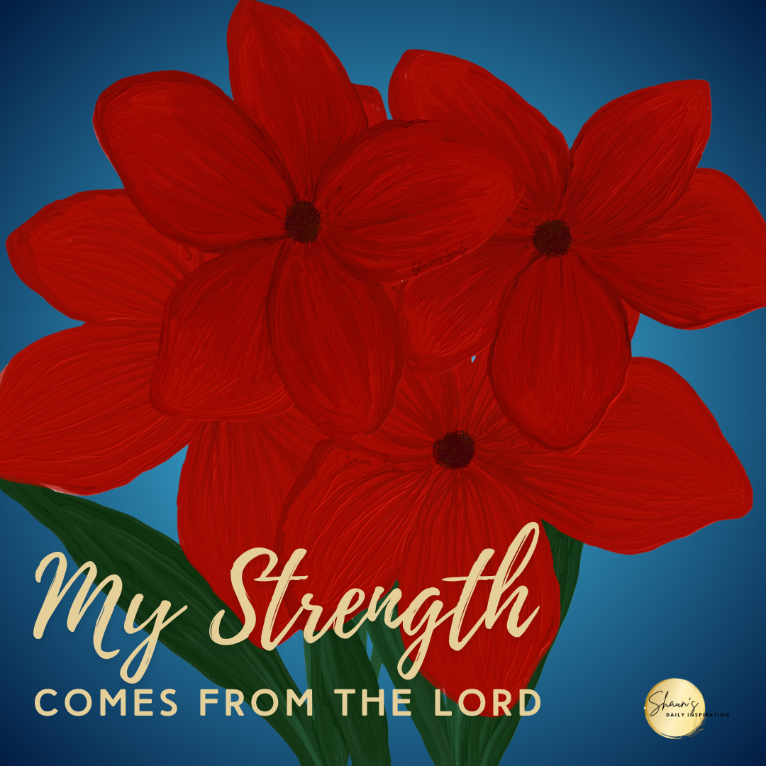 My Strength – It’s Shaun’s World