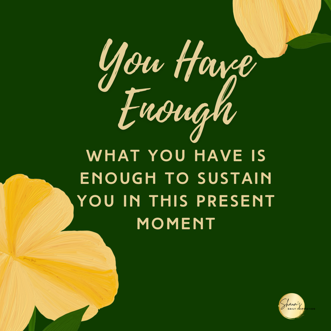 You Have Enough – It’s Shaun’s World
