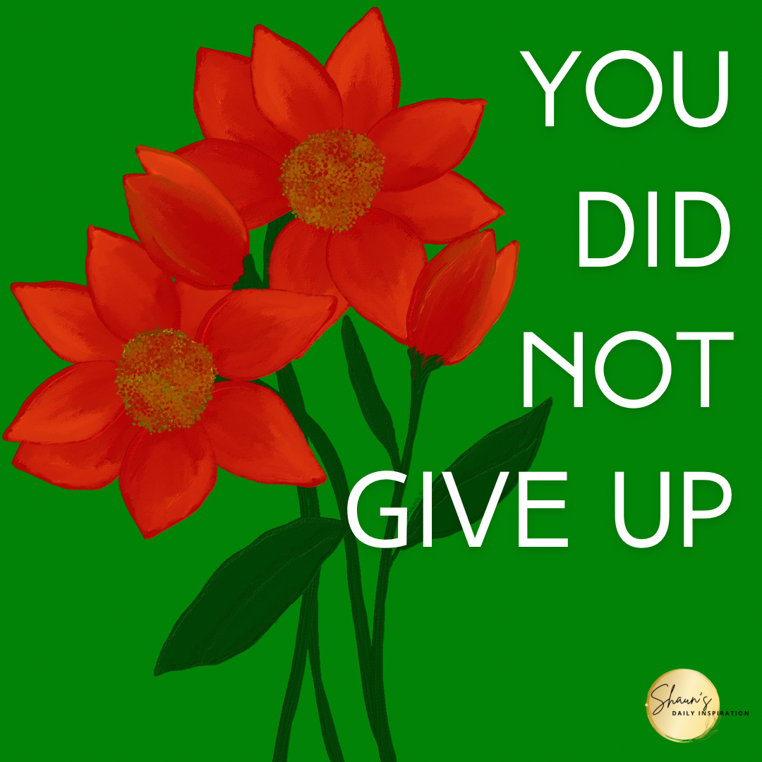 I Did Not Give Up – It’s Shaun’s World