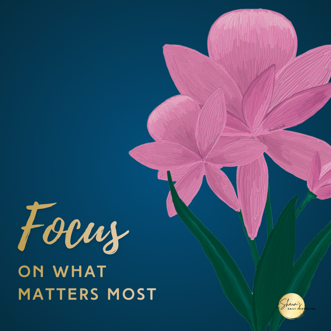 Focus On What Matters Most – It’s Shaun’s World