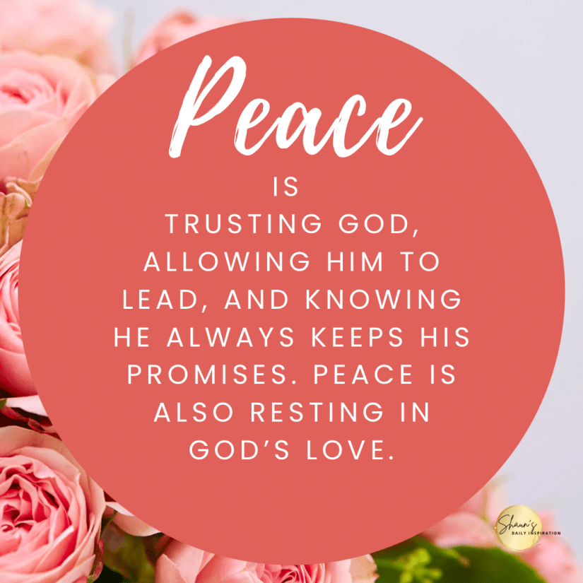 Peace Is… – It’s Shaun’s World