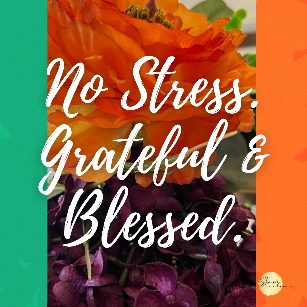 No Stress. Grateful & Blessed. – It’s Shaun’s World